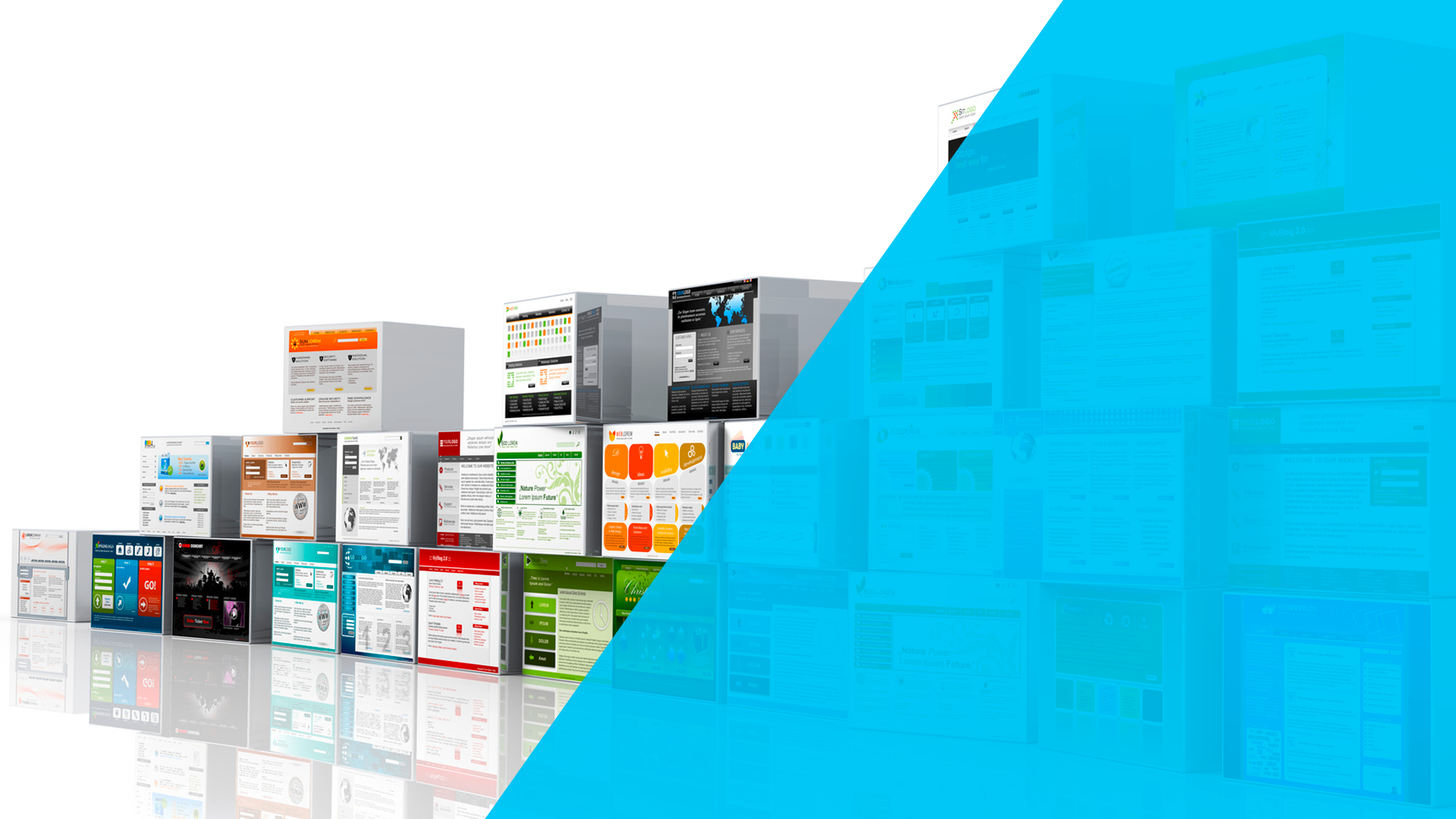 CMS System | Pronet-IT